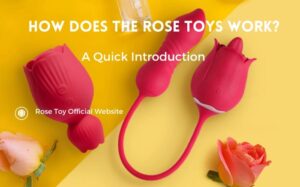 How to Use a Rose Toy A Comprehensive Guide — Nimila