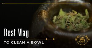 How to Clean the Bowl A Total Guide — Nimila